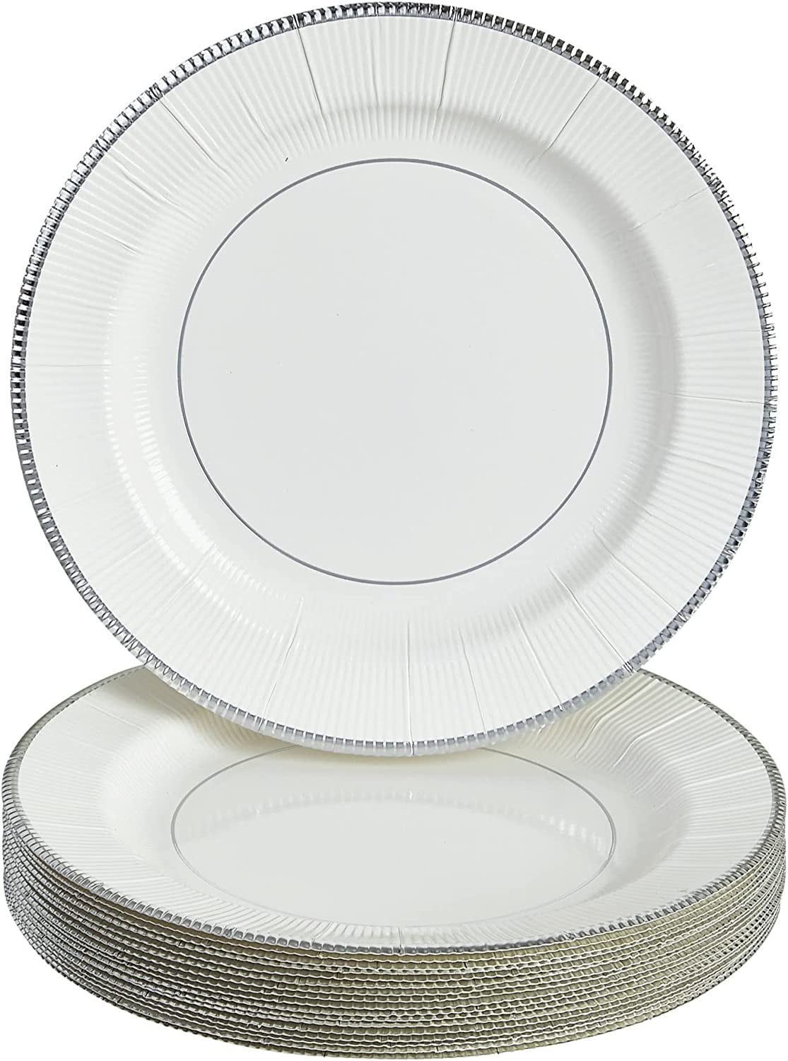 Heavy Duty Disposable Plates - 10 inch Paper Plates - Metallic Silver ...