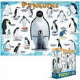 Eurographics, Penguins 100-Piece Puzzle, 13" x 19", Kids Educative ...