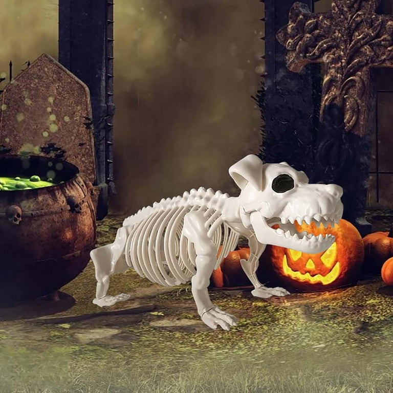 Dog Skeleton Halloween