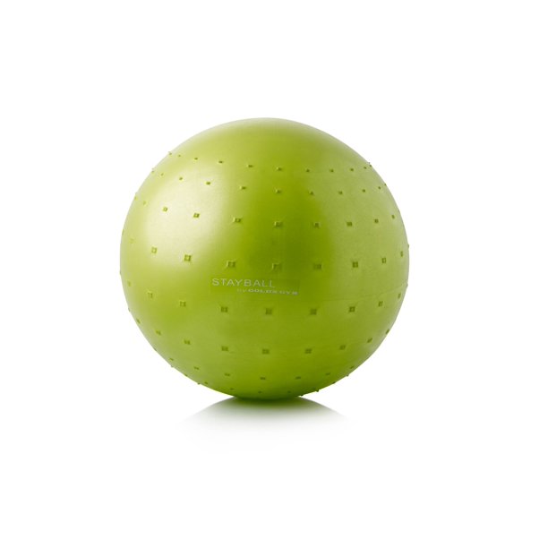 Gold's Gym 65 cm Anti-Burst Performance Exercise Ball with Pump ...