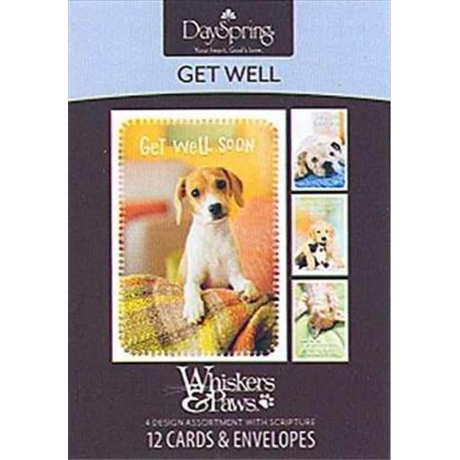 Card-Boxed-Get Well-Whiskers & Paws (Box Of 12) - Walmart.com