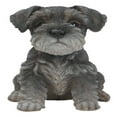 Hi Line 7” Schnauzer Puppy Garden Statue, Durable Polyresin - Walmart.com