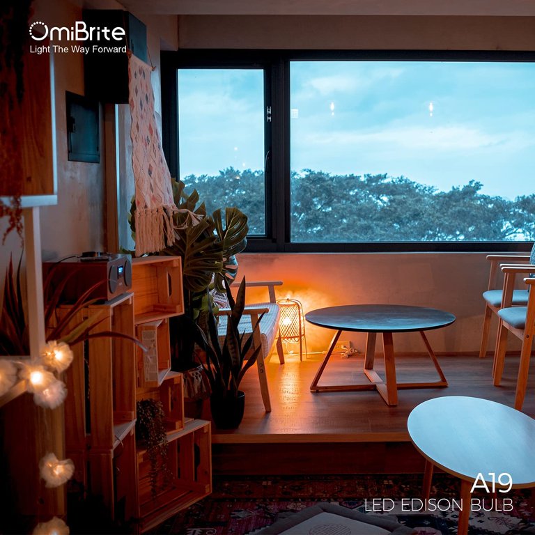 Standard Living Room Light Bulb | Cabinets Matttroy