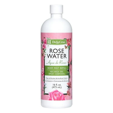 Garnier SkinActive Facial Mist Spray with Rose Water, 1 fl oz - Walmart.com