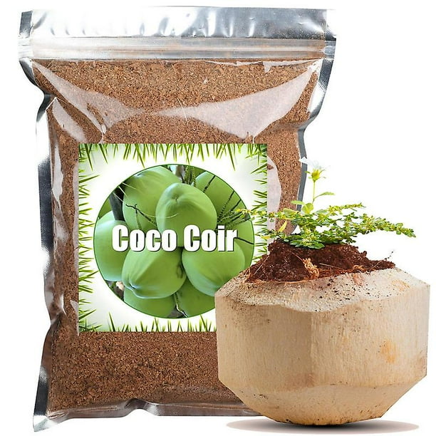 NUEVO Fibra de coco para plantas 2 qt, tierra de fibra de coco suelta ...