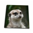 3dRose Portrait of Meerkat African Animal Wildlife Nature - Drawing ...
