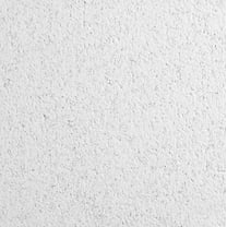 Armstrong 2x2 LYRA Plant Based Acoustic Ceiling Tiles for Suspended ...