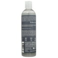 Renpure Detoxifying Charcoal Shampoo 19o - Walmart.com