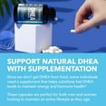 Havasu DHEA 50mg Capsules | DHEA Supplement for Men & Women | Boost ...