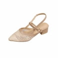 Bkhluea Women Lace Embroidery T Strap Slingback Block Heel Shoes ...