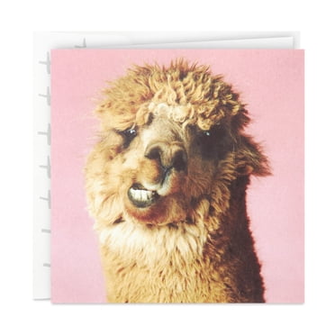 Recycled Paper Greetings Snowman Boogers Funny / Humorous Birthday Card ...