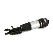Arnott New Rear Air Strut AS-2889 - Walmart.com