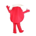 Kool Aid Deluxe Mens Adult Halloween Costume One Size 50 52