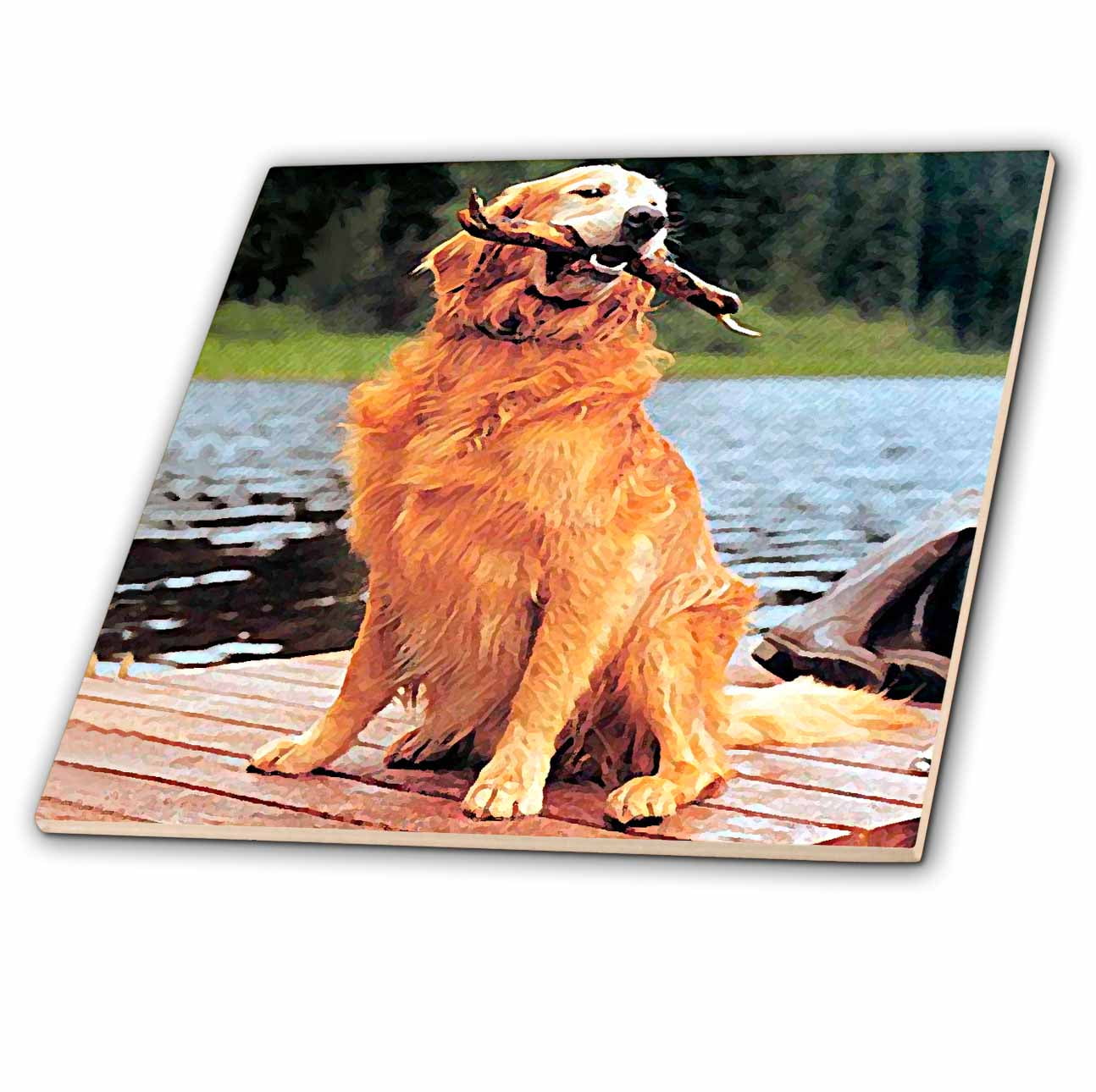 Golden Retriever 6 Inch Ceramic Tile ct-245-2 - Walmart.com