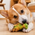 Durable Chew Resistant Alligator Dog Toy Dental Care Teeth Cleaning ...