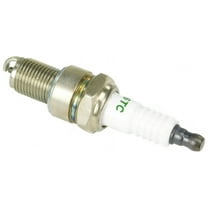 Briggs & Stratton 796112 Spark Plugs, 2-Pack, Replaces J19LM, RJ19LM ...