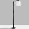 AKASUKI 62" Task/Reading Floor Lamp, Dimmable Brightness & Color ...