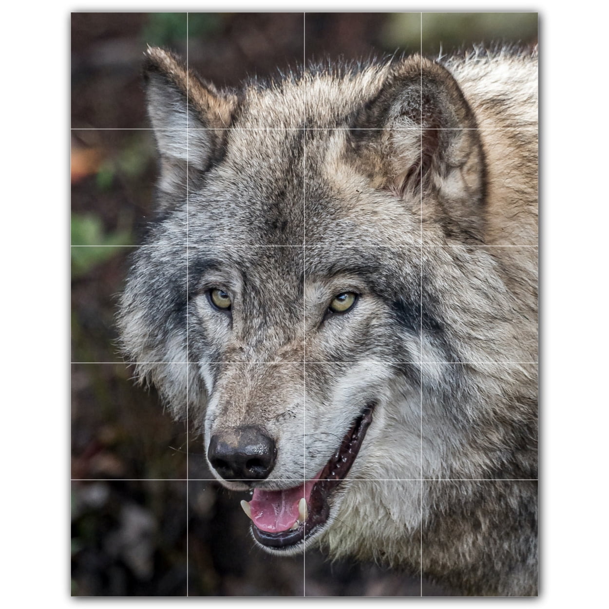 Picture-Tiles.com: Wolf Ceramic Tile Wall Mural WAL501235-45M. 24"W x ...