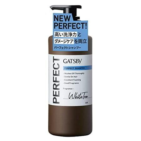 GATSBY Perfect Shampoo Men's Scalp Care Damage Care | Walmart Canada