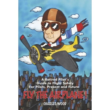 Pilot 101 : How to Become a Pilot and Achieve Success in Your Aviation Career From A to Z ...