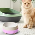 TOUMENY Ceramic Heated Pet Bowl, Constant Temperature Feeding Dish for ...