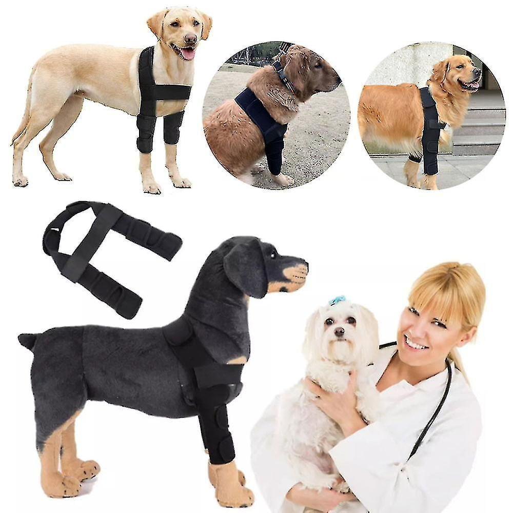 Protector de codo para corvejón de pierna delantera para perro ...