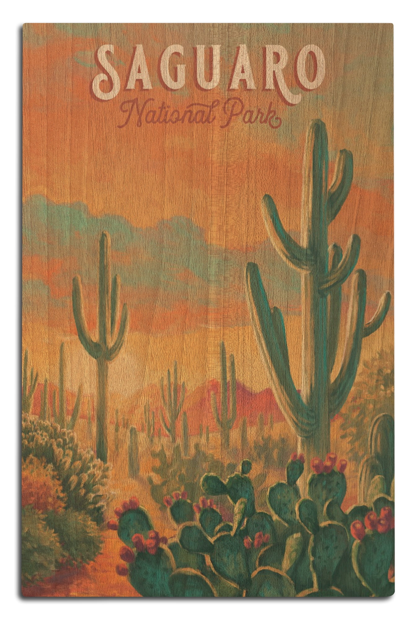 Saguaro National Park, Arizona, Oil Painting National Park Series Birch ...