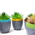 7829 6 Pieces Flower Pots Plants Container Small Plastic Pots Succulent ...