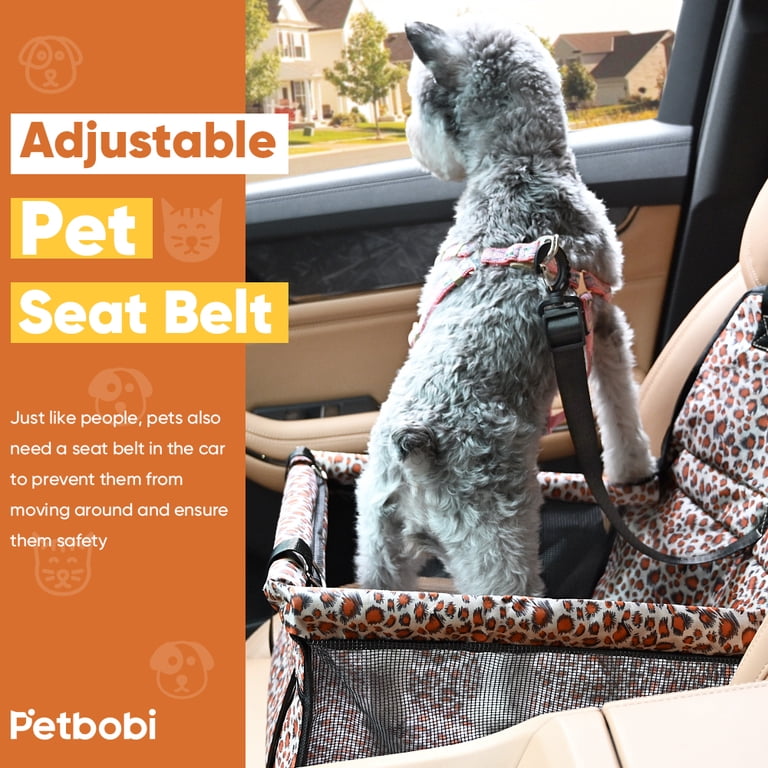 Pet Leopard Car