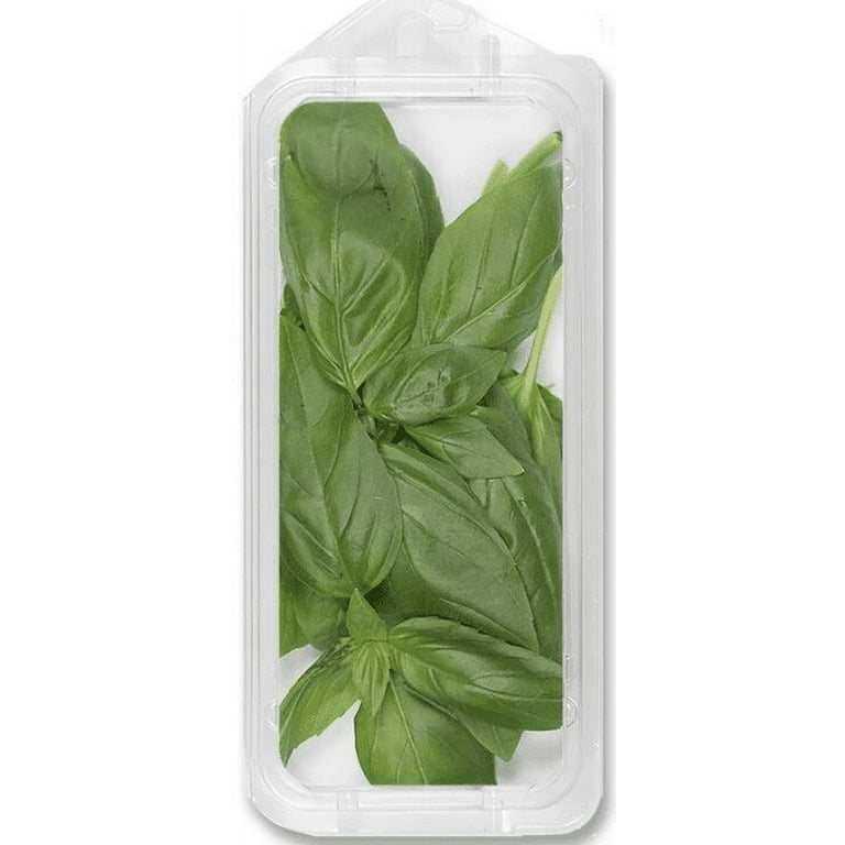 Fresh Basil Leaves