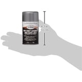 Testors One Coat Lacquer Paint, 3 oz. Spray Can, Diamond Dust - Walmart.com