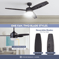 Prominence Home Enoki 52" Matte Black Indoor Ceiling Fan with Light, 3 ...