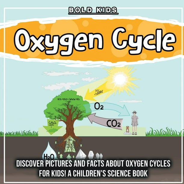 Oxygen Cycle : Discover Pictures and Facts About Oxygen Cycles For Kids ...