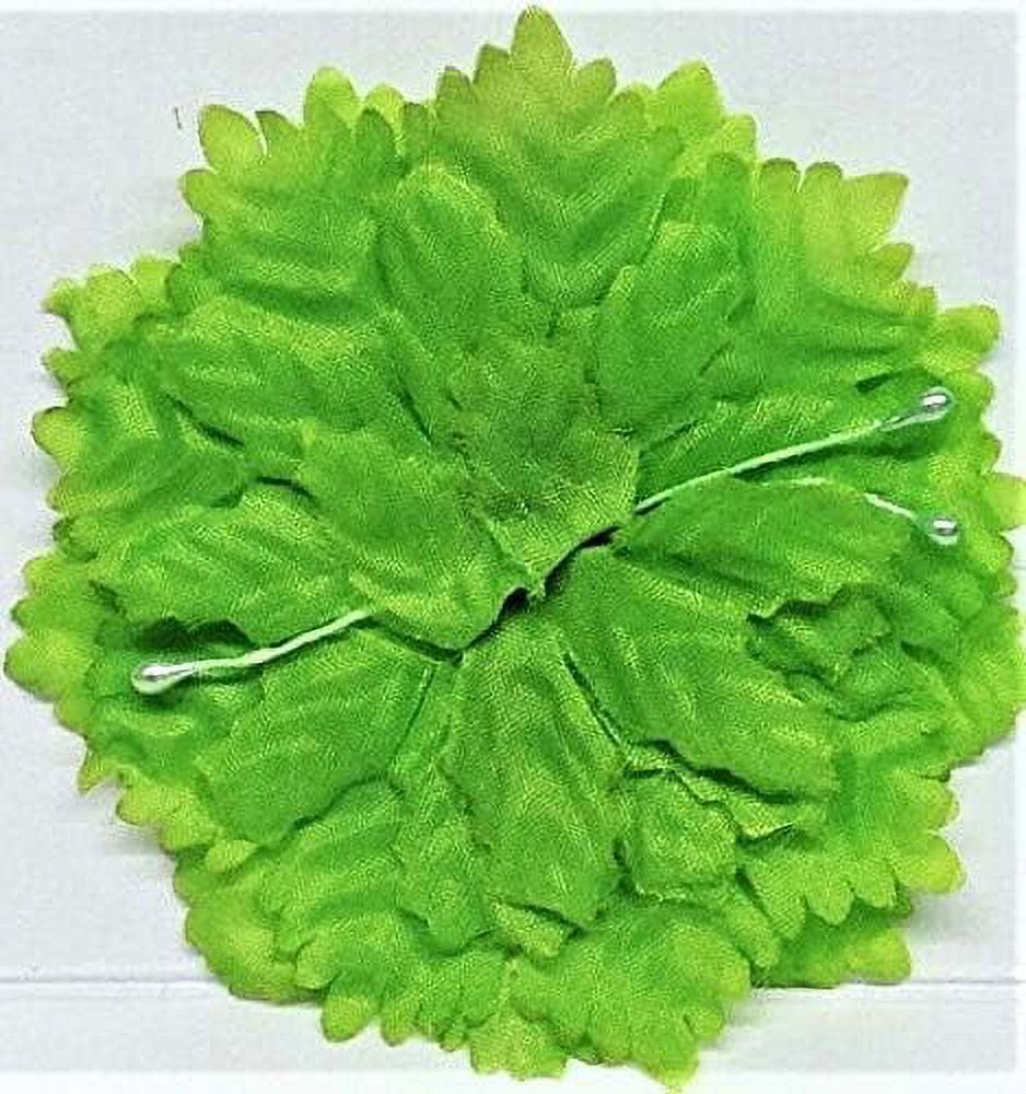 Lime Green Capia Flowers Bulk Flat Carnation Capia Base 48 Pieces ...