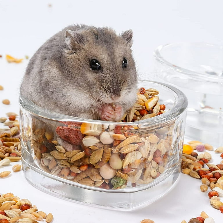 Hamster Food Bowl