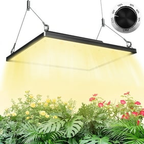 Oasis Horticubes? Grow Cubes 162ct Sheet - Walmart.com