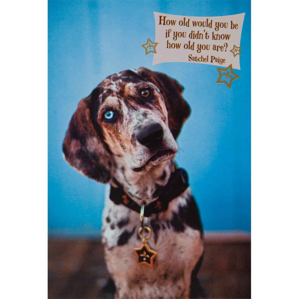 How Old Are You Birthday Greeting Card - Walmart.com