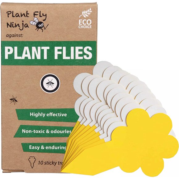 Gnat Traps
