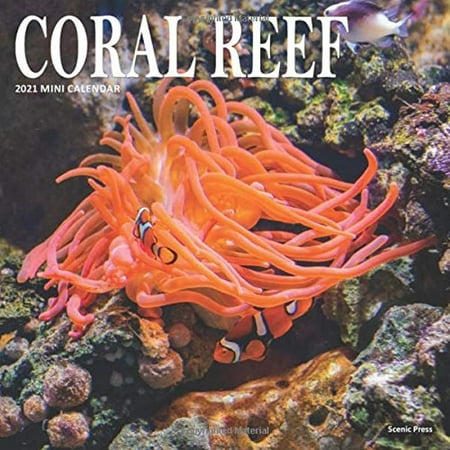 Coral Reef: 2021 Calendar | Walmart Canada