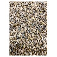 Certified Rex Rice Seed - 10 Lbs. - Walmart.com
