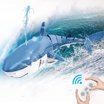Air Swimmers RC Flying Shark - Durable, Floatable Indoor Family Fun Toy ...