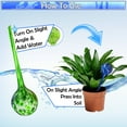 4pc Mini Aqua Plant Glass Watering Globes - Watering Ball Bulbs ...