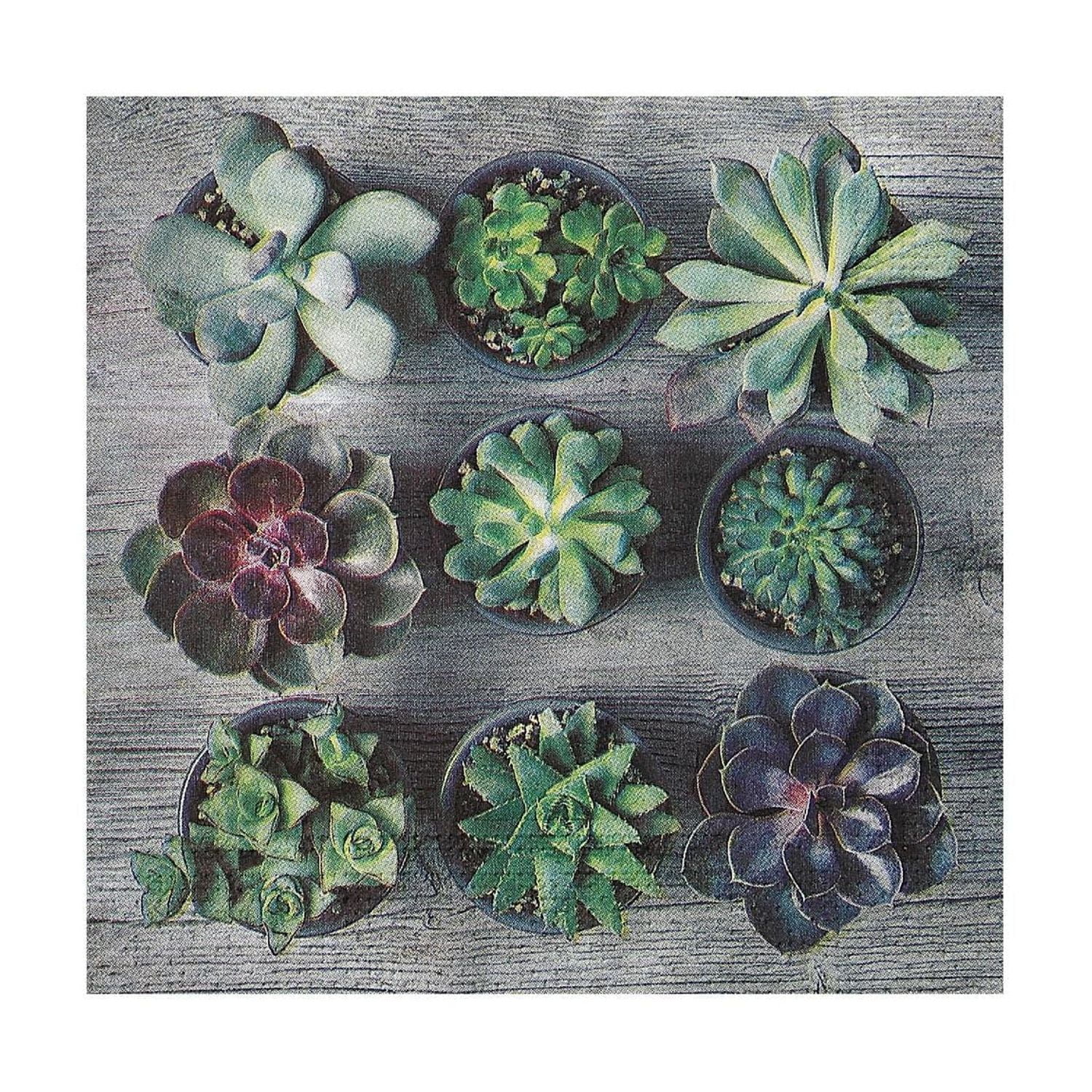 Click here for Ih Casadécor 20 Pack Luncheon 3 Ply Napkin (Potted... prices