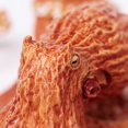 Safari Ltd Incredible Creatures Giant Pacific Octopus - Walmart.com