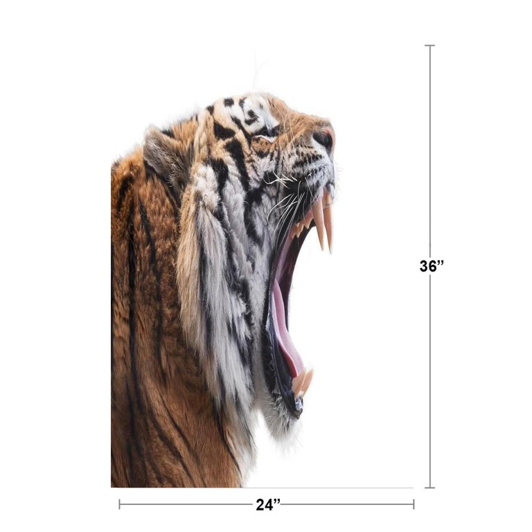 Tiger Face Growling Side View