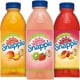Snapple All Natural Juice Drink Variety Pack, 20 Fl Oz Bottles (24 Pack ...