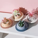 SPRING PARK Mini Succulent Planter Glazed Ceramic Miniature Flower Pot ...