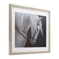 Stupell Industries Majestic White Mare Birch Framed Print Under Glass ...
