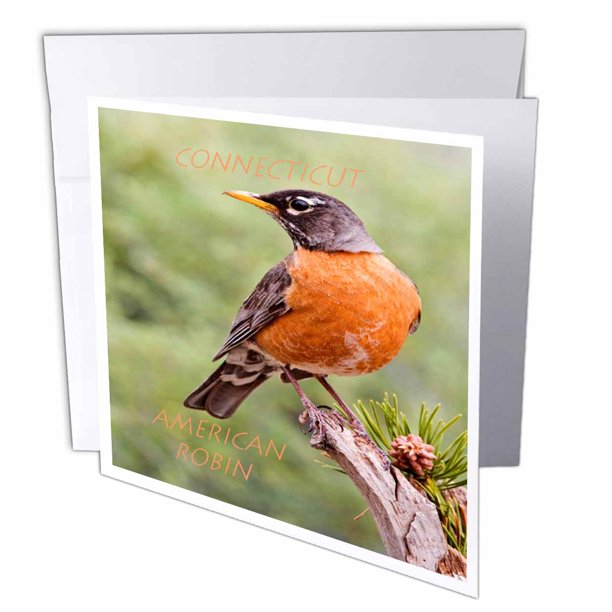 Robin Card