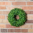 Vickerman 10" Artificial Green Mini Button Leaf Wreath. - Walmart.com